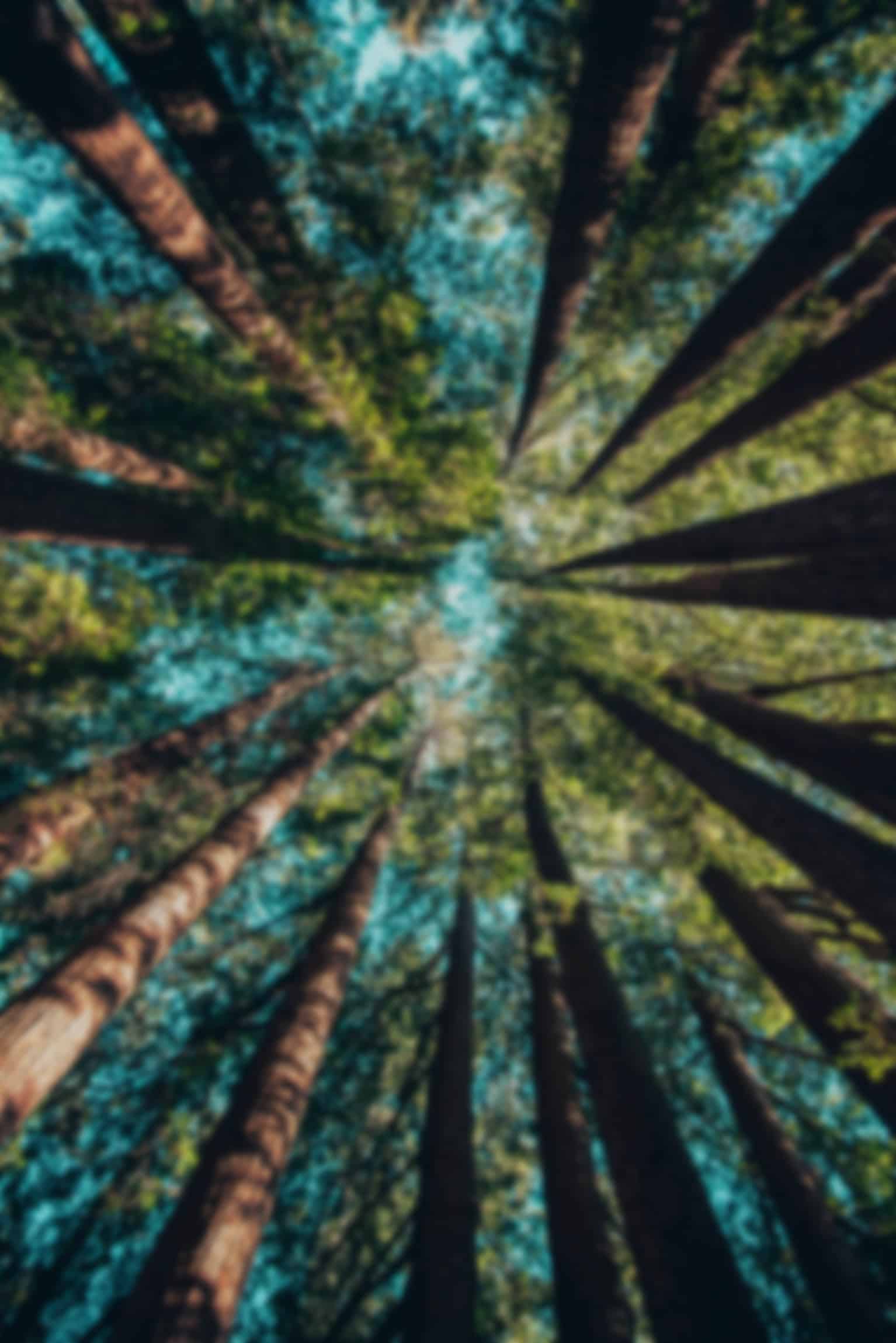 Mindfulness & Wellbeing for Doctors - Whole Hearted Medicine