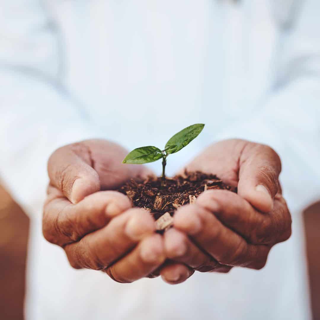 Mindfulness & Wellbeing for Doctors - Whole Hearted Medicine